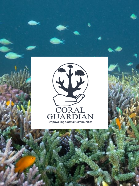 Zoom sur Coral Guardian – SeventyOne